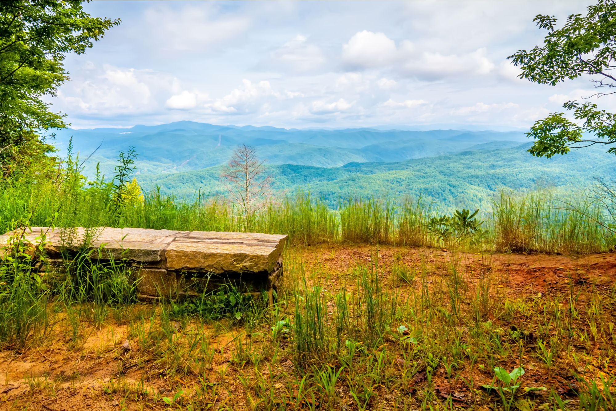 Oral Surgeons in Seneca, SC | Seneca Dental Implant Center